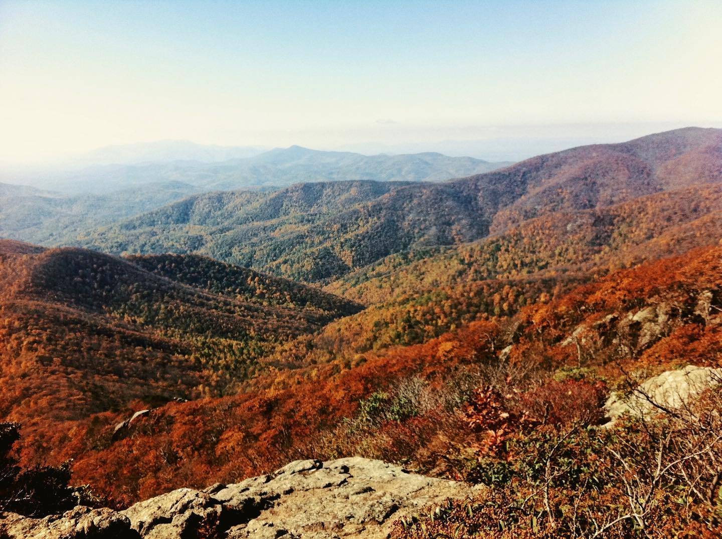 The Fall Edit – The Wild Wander