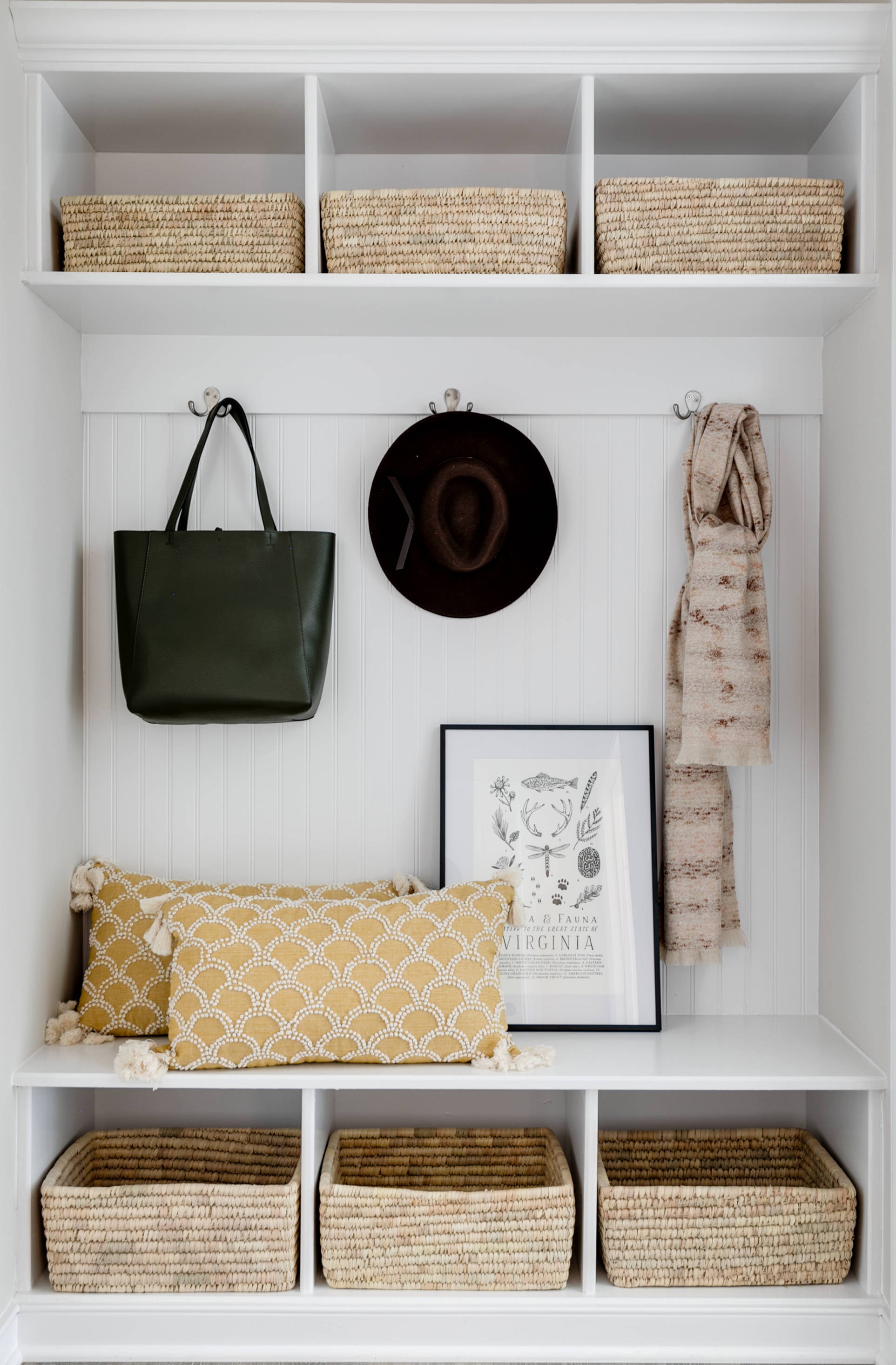 Feeling Refreshed! – The Wild Wander