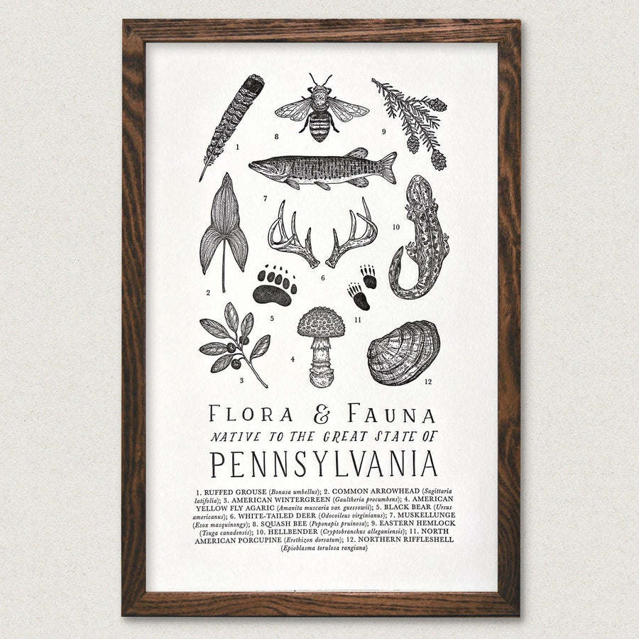 Letterpress Field Guide Art Prints - The Wild Wander