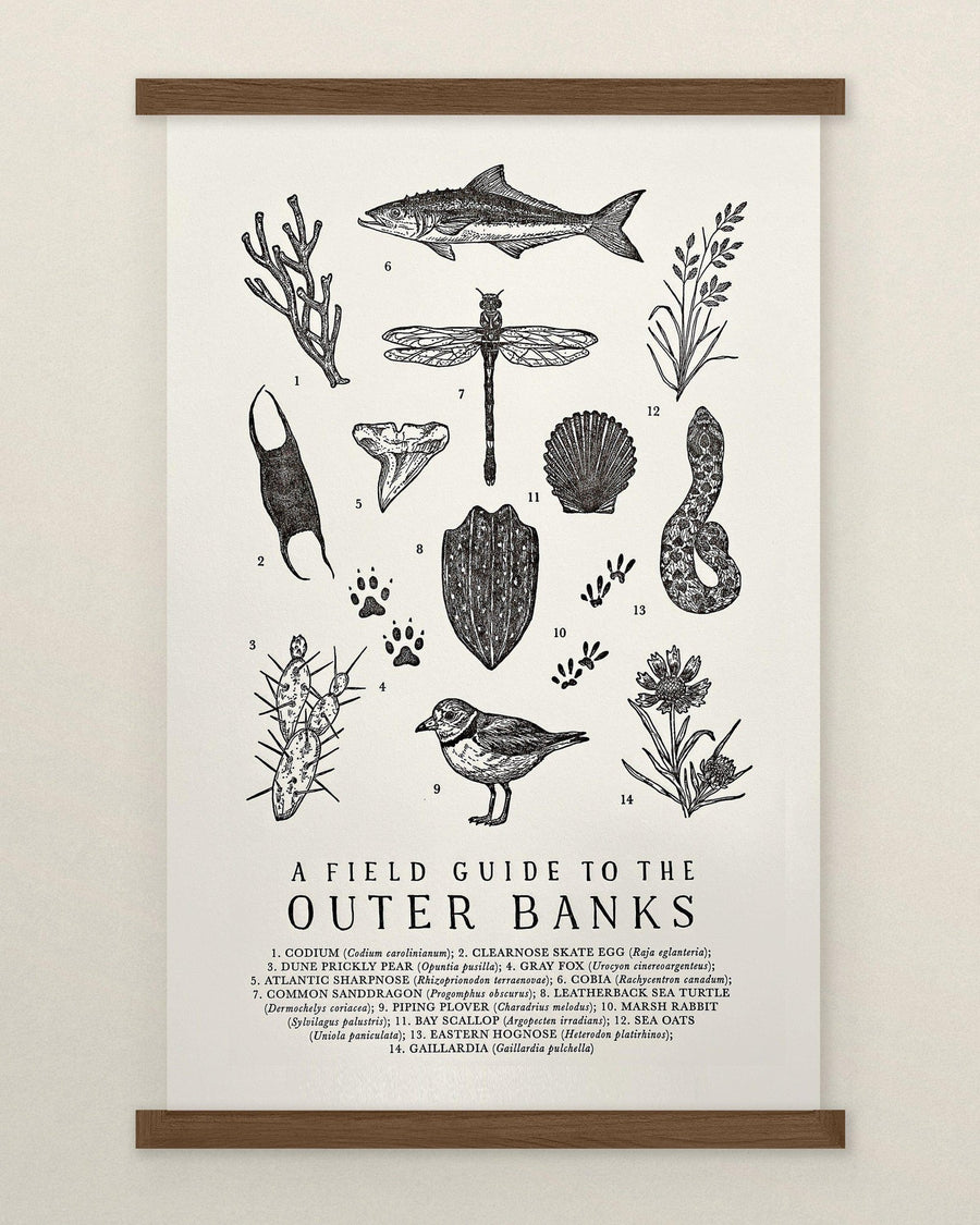Letterpress Field Guide Art Prints - The Wild Wander