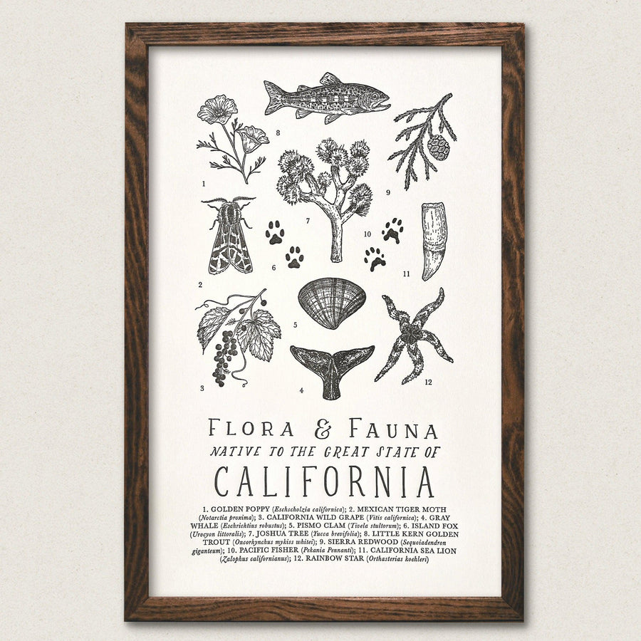 Letterpress Field Guide Art Prints - The Wild Wander