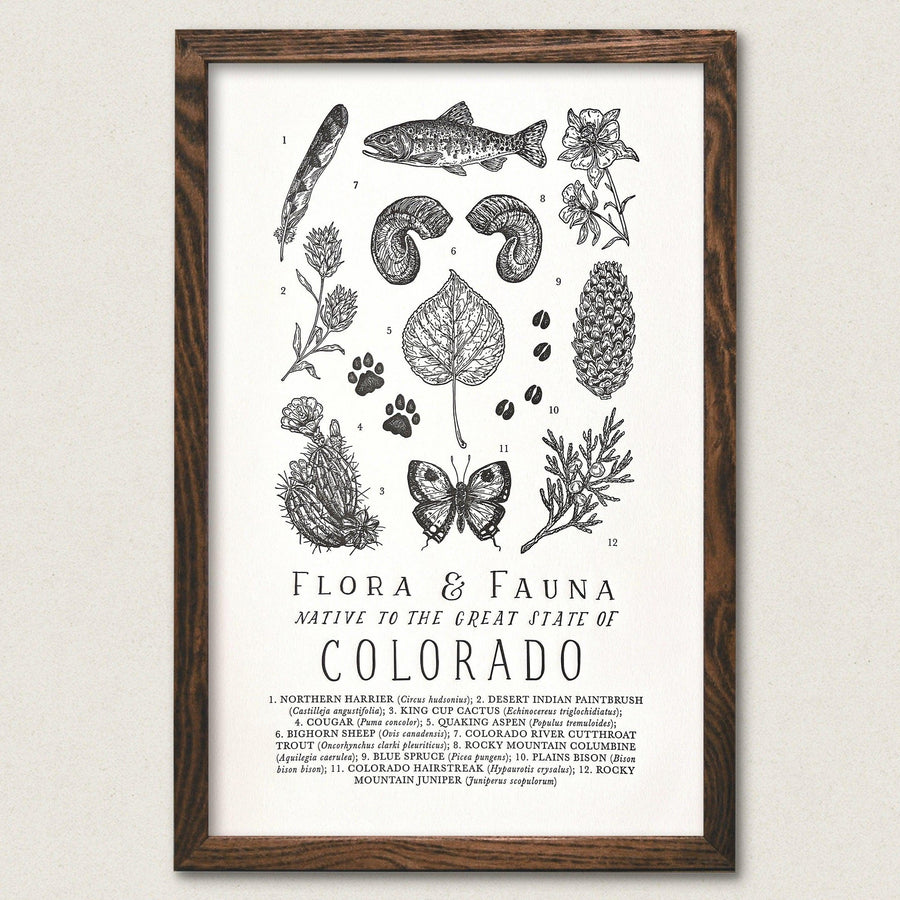 Letterpress Field Guide Art Prints - The Wild Wander