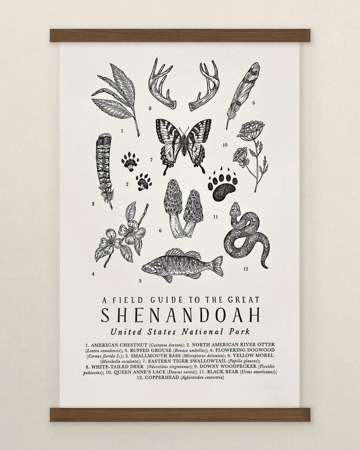 National Park & Trails Wall Art by The Wild Wander