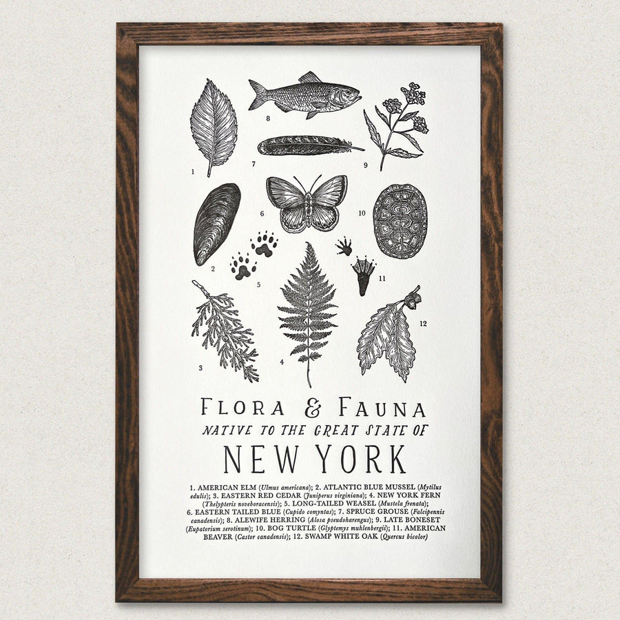 Letterpress Field Guide Art Prints - The Wild Wander