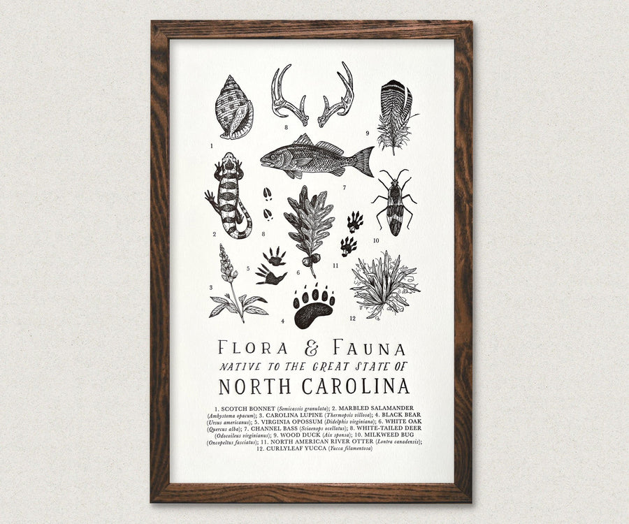 Letterpress Field Guide Art Prints - The Wild Wander