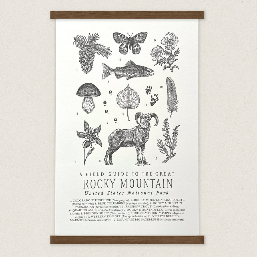 National Park & Trails Wall Art by The Wild Wander