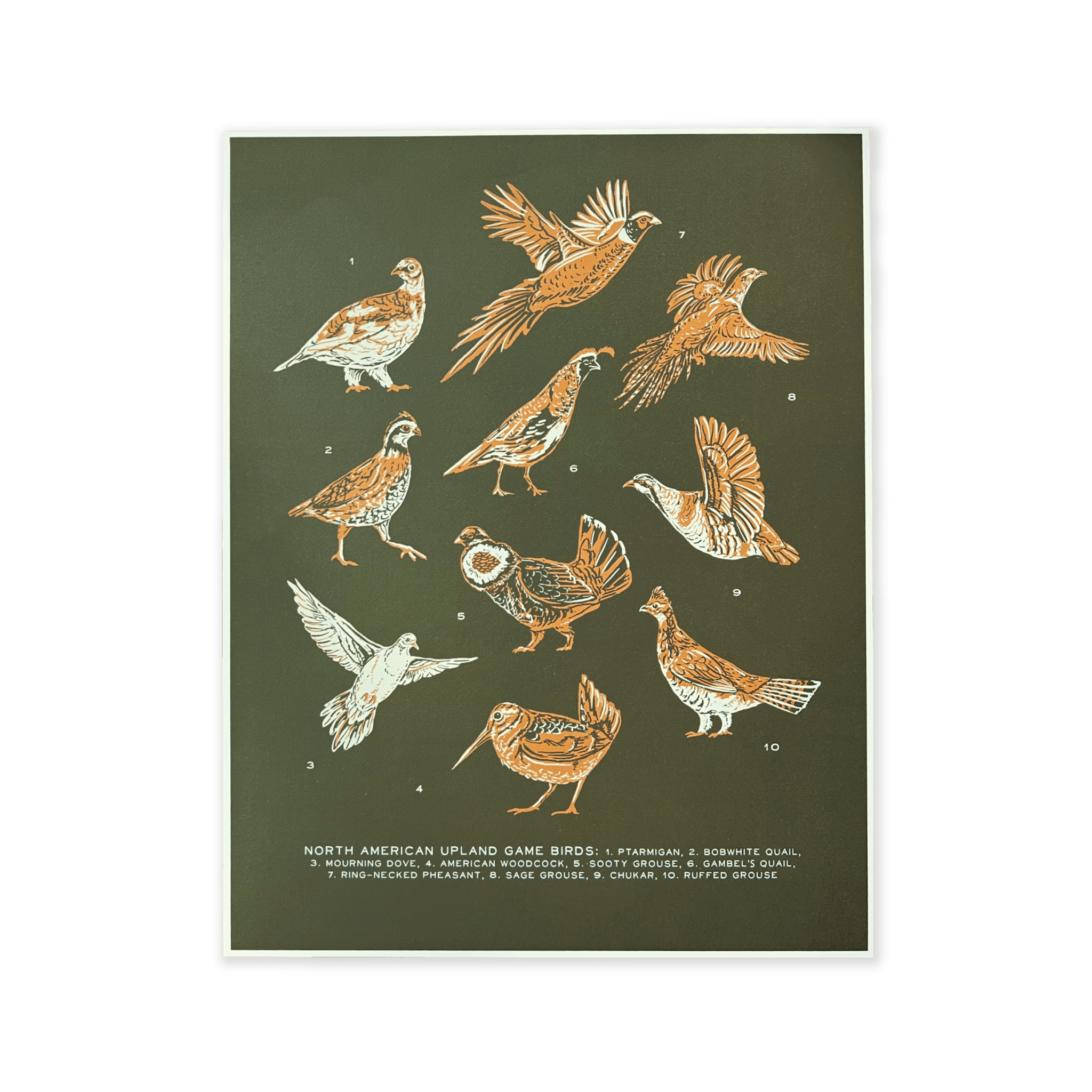 Poisonous Mushroom Chart - Illustrated Art Print by Wild Wander - The ...