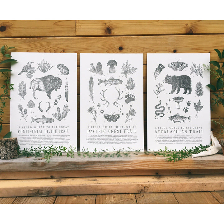 Letterpress Field Guide Art Prints - The Wild Wander